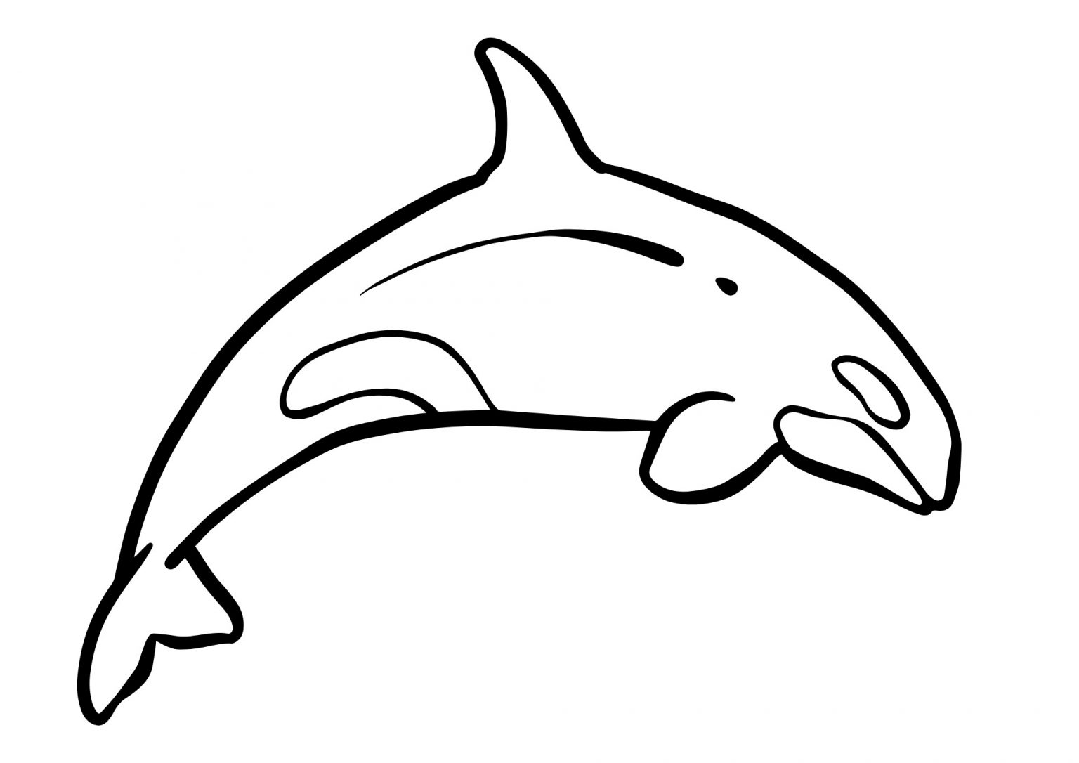 Orca Color Sheets (Free & Printable) | Kokoprint.com