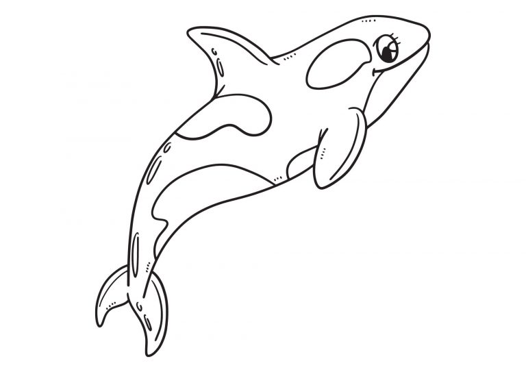Orca Color Sheets (Free & Printable) | Kokoprint.com