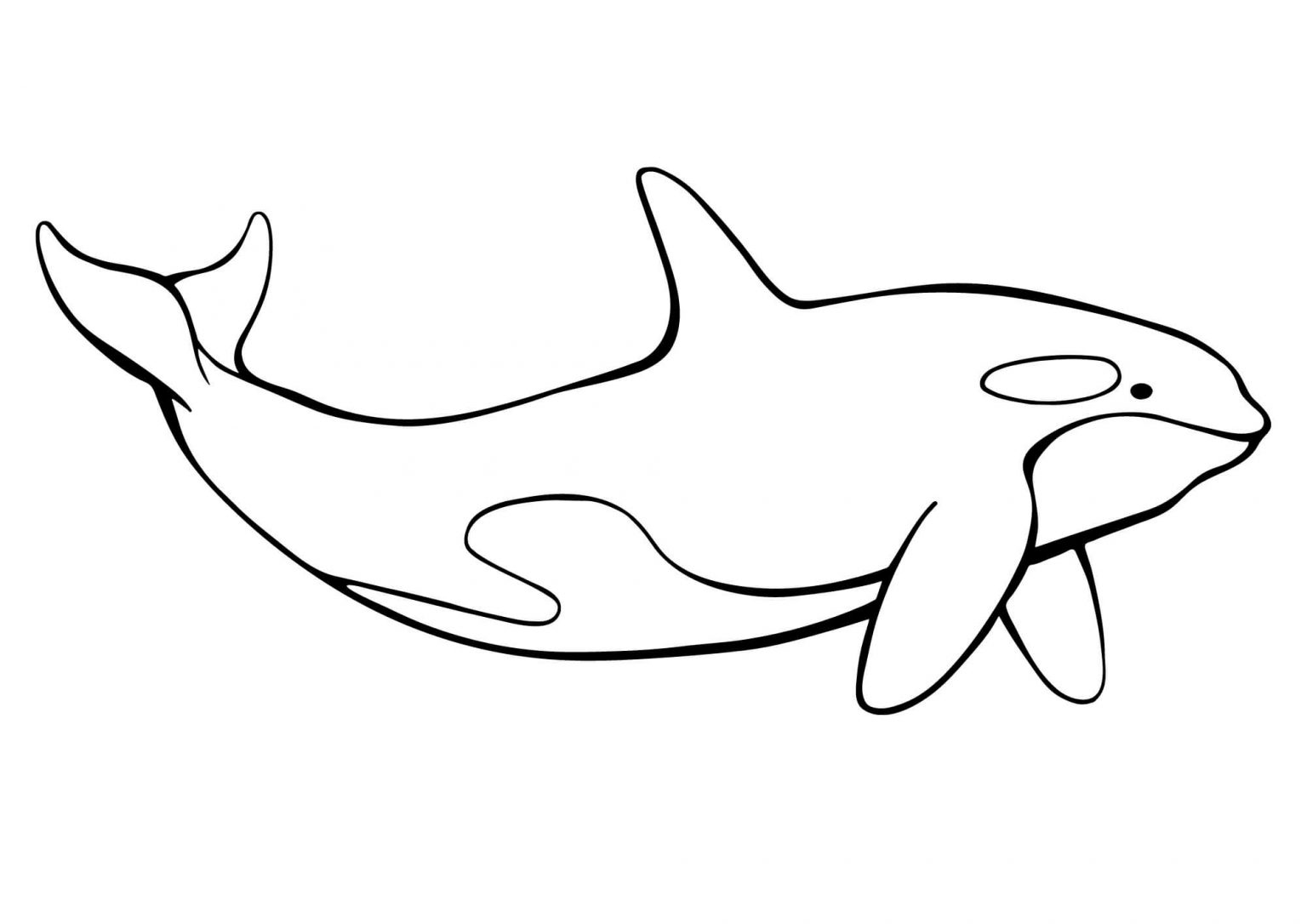 Orca Color Sheets (Free & Printable) | Kokoprint.com