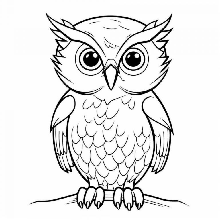 Owl Color Sheets (Free & Printable)