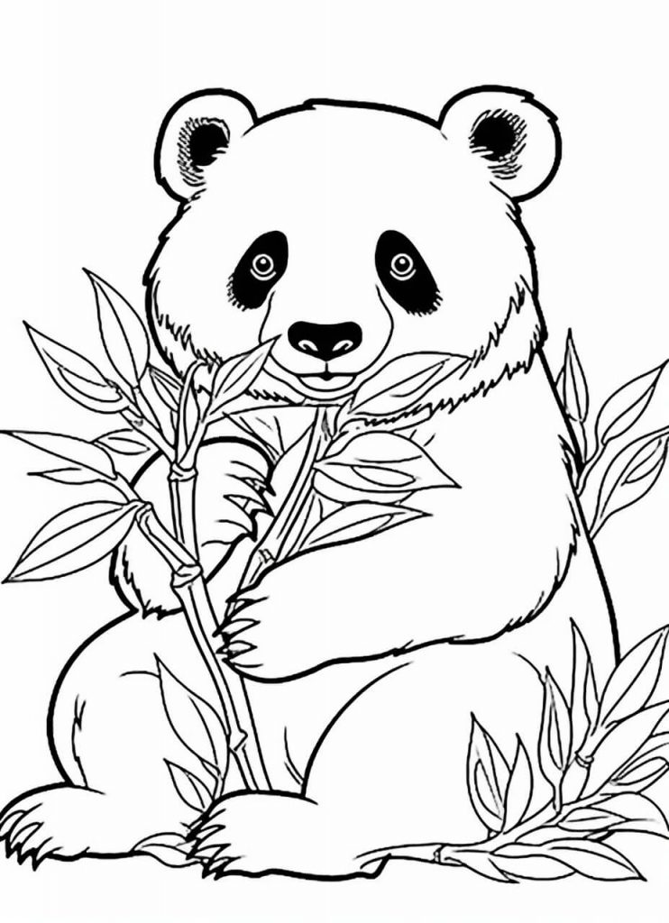Panda Color Sheets (Free & Printable)