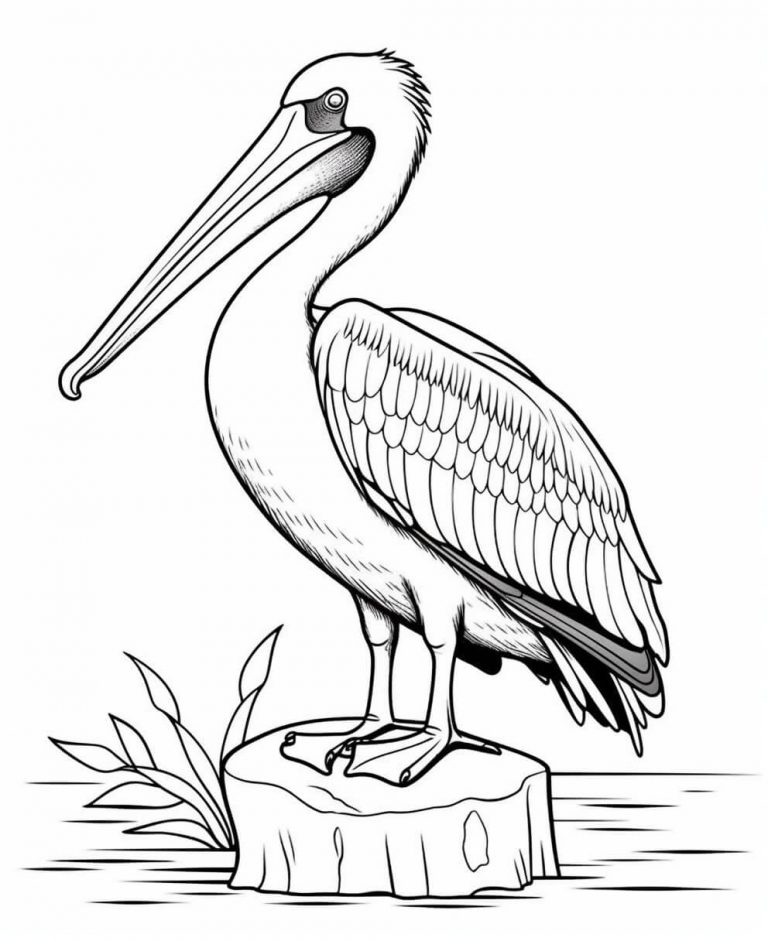 Pelican Colouring Sheets (Free & Printable)