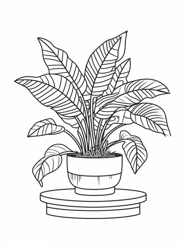 Plants Color Sheets (Free + Printable)