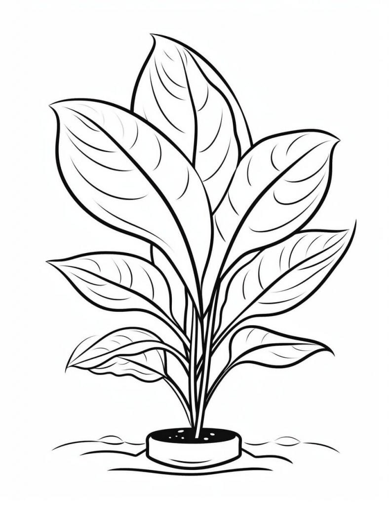 Plants Color Sheets (Free + Printable)