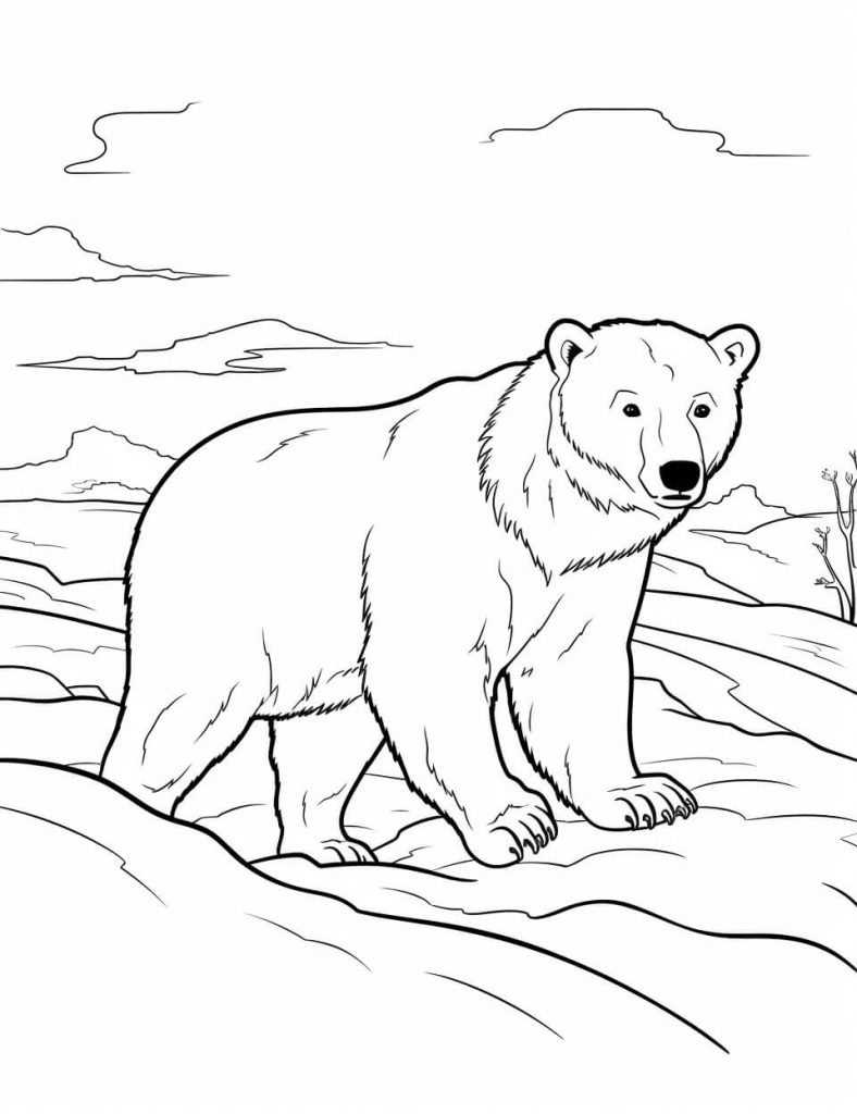 Polar bear Color Sheets (Free & Printable)