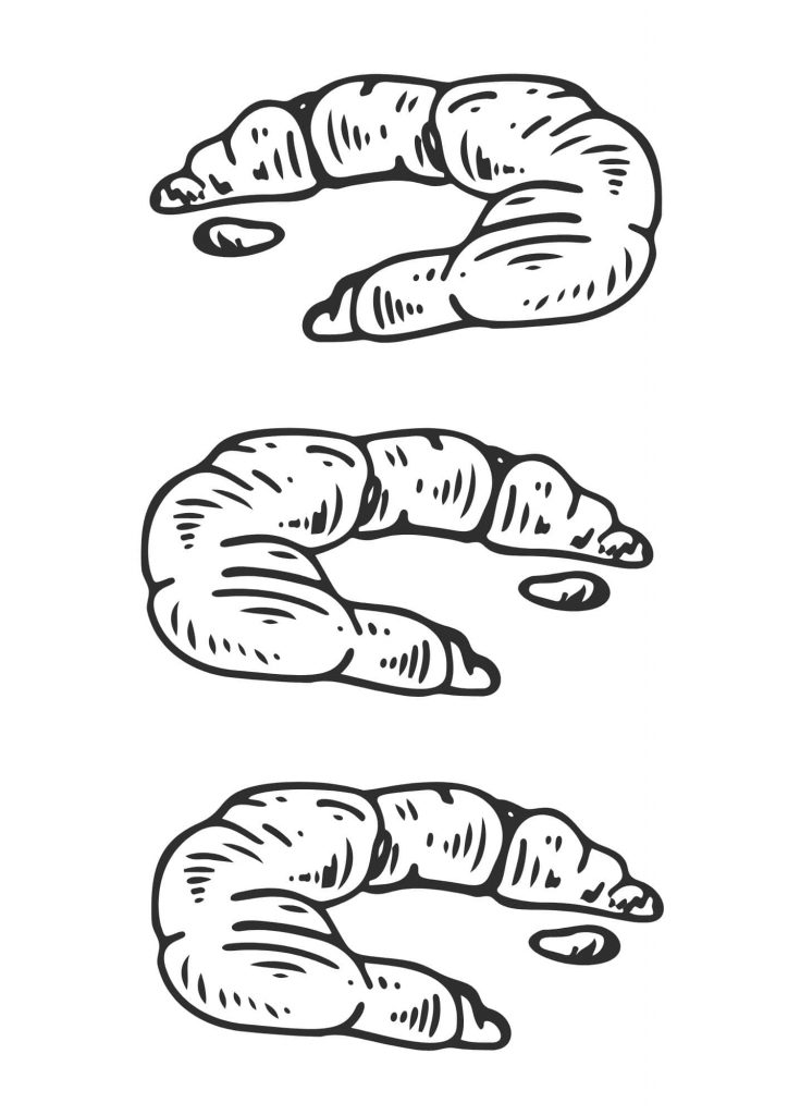 Poop coloring sheet (free & printable) | Kokoprint.com