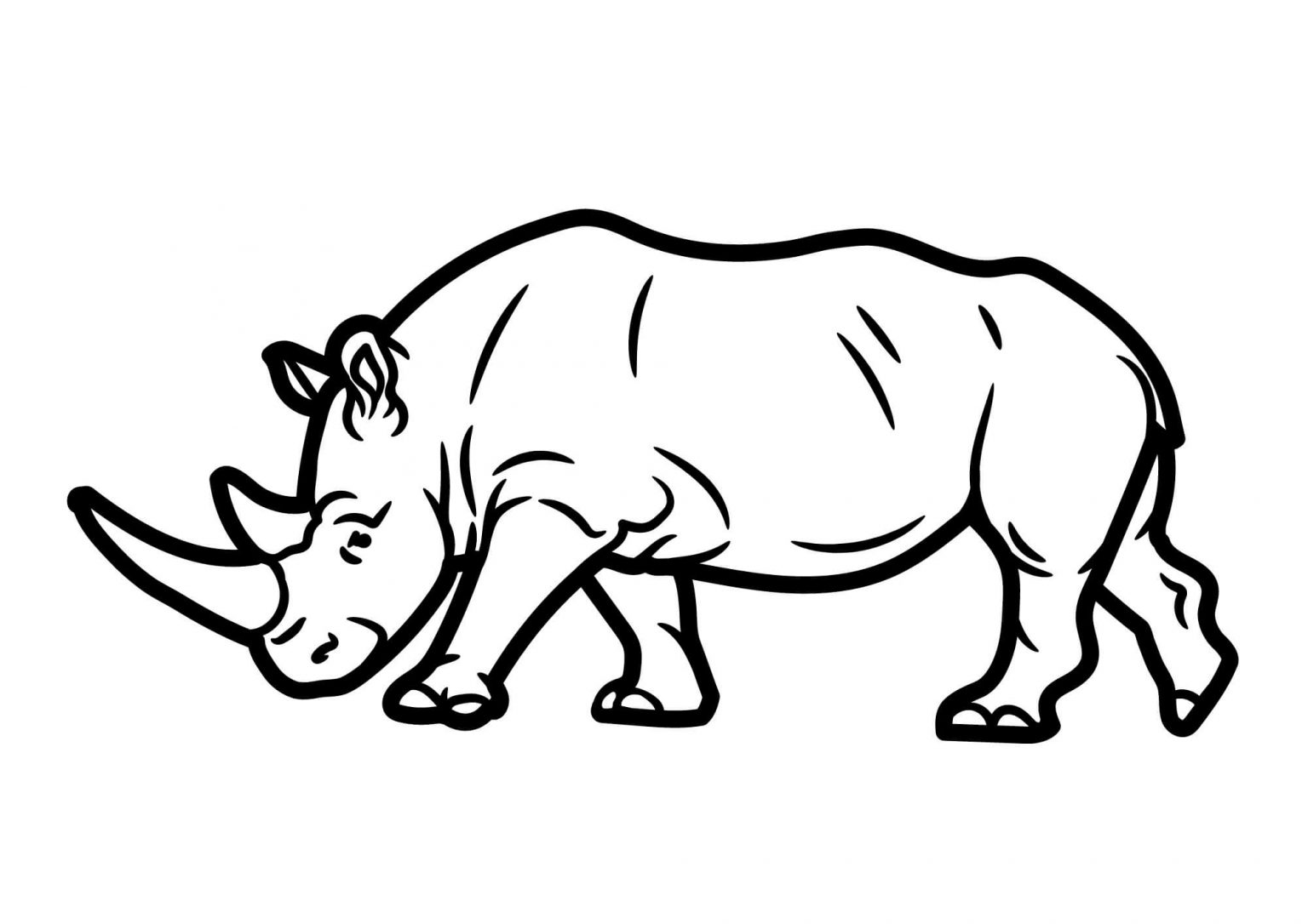 Rhino Color Sheets (Free & Printable)