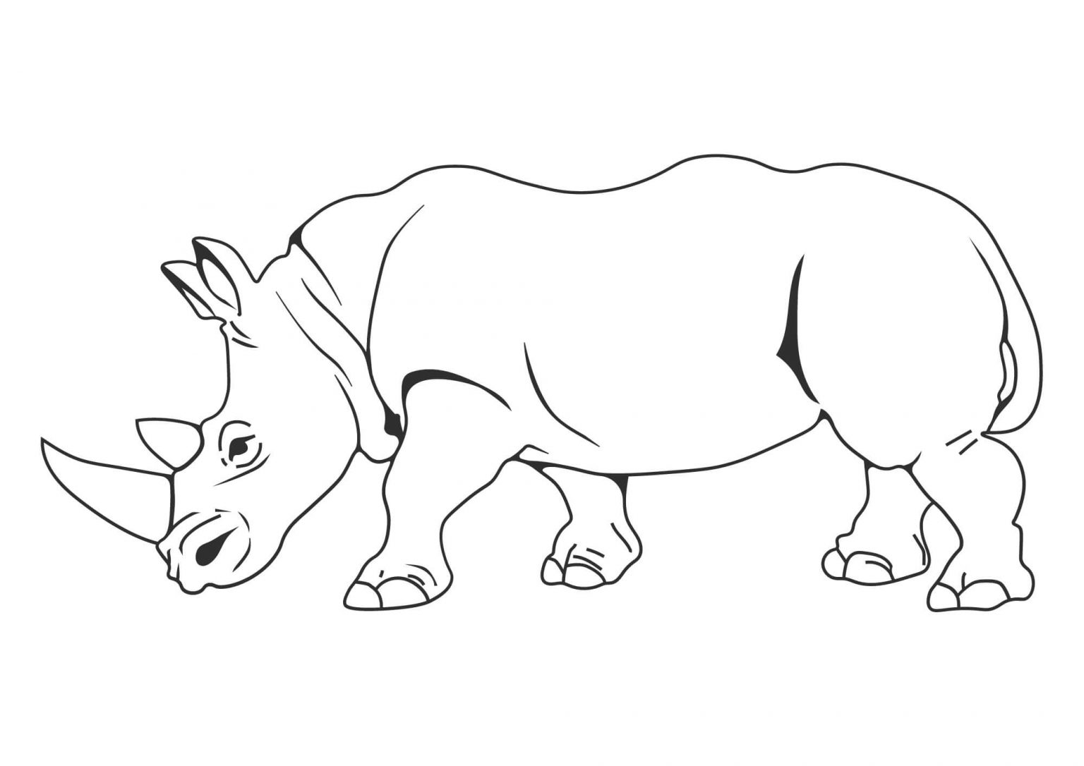 Rhino Color Sheets (Free & Printable)