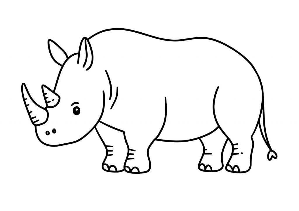 Rhino Color Sheets (Free & Printable)