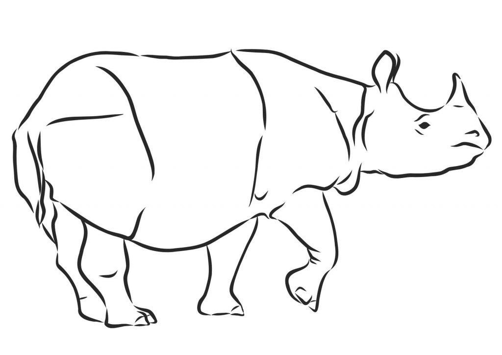Rhino Color Sheets (Free & Printable)