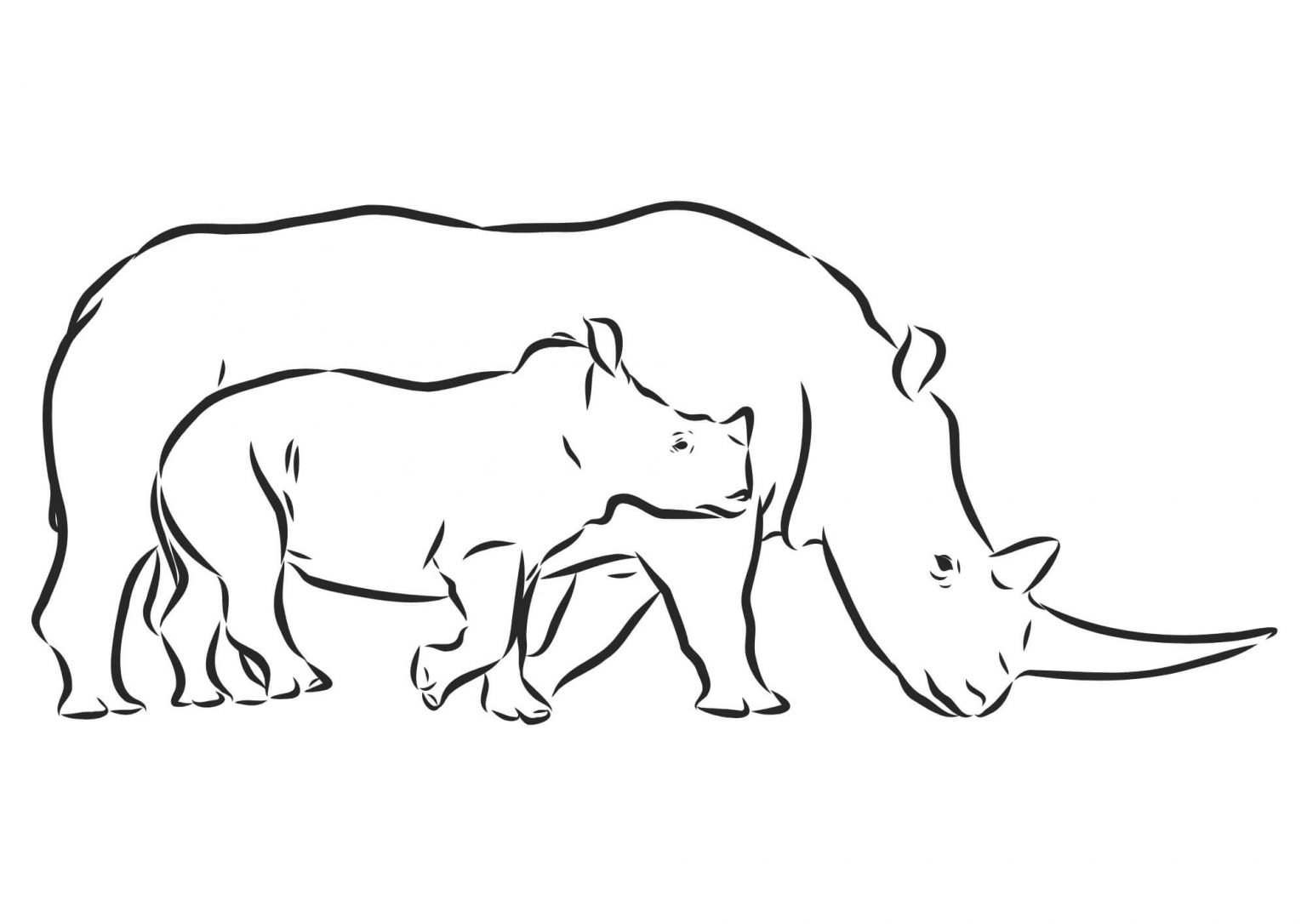 Rhino Color Sheets (Free & Printable)