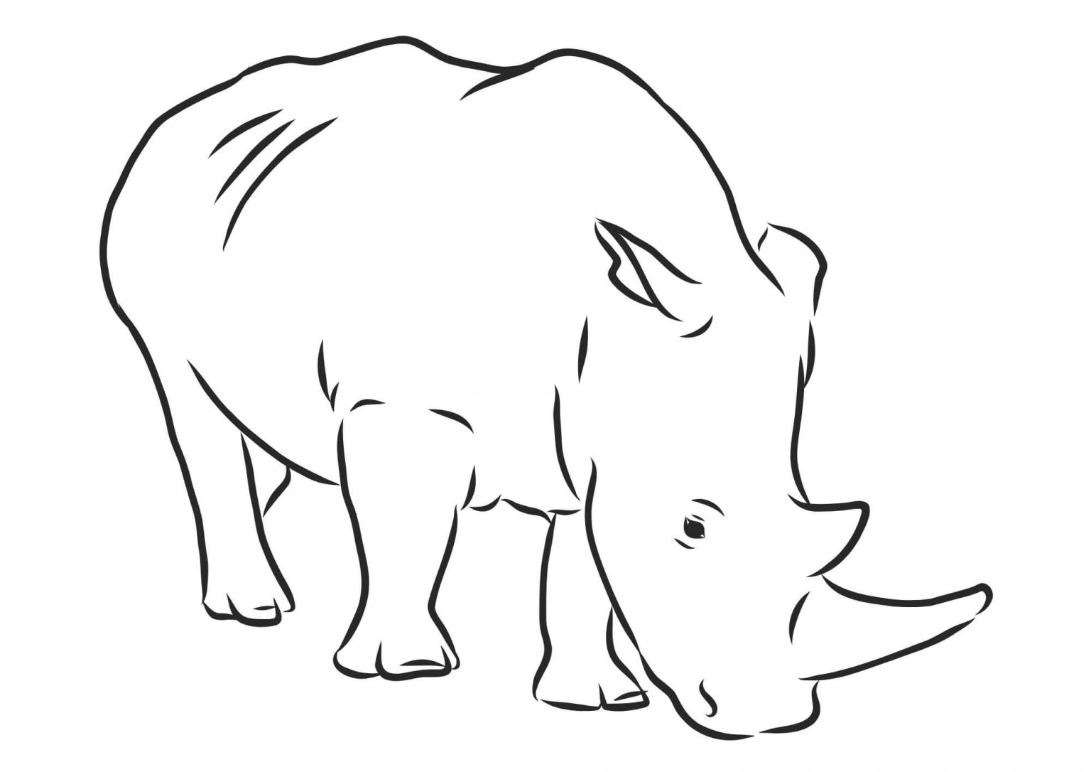 Rhino Color Sheets (Free & Printable)