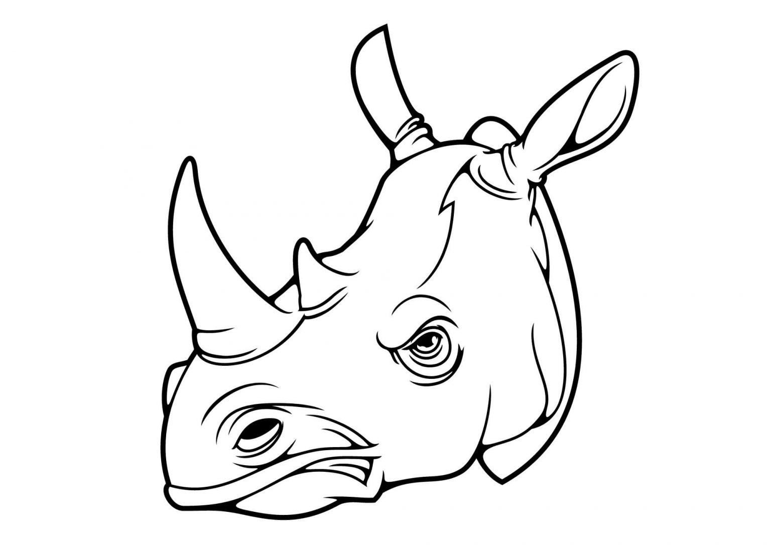 Rhino Color Sheets (Free & Printable)