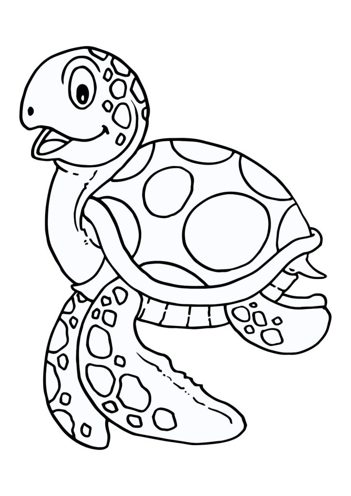 Sea animal Color Sheets (Free + Printable)