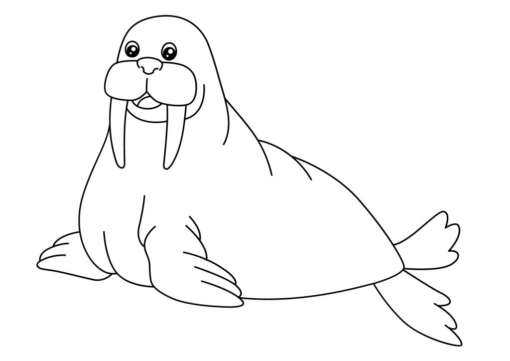 Sea animal Color Sheets (Free + Printable)