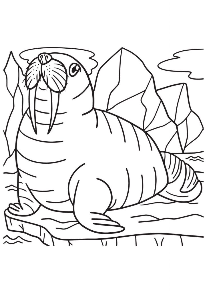 Sea animal Color Sheets (Free + Printable)