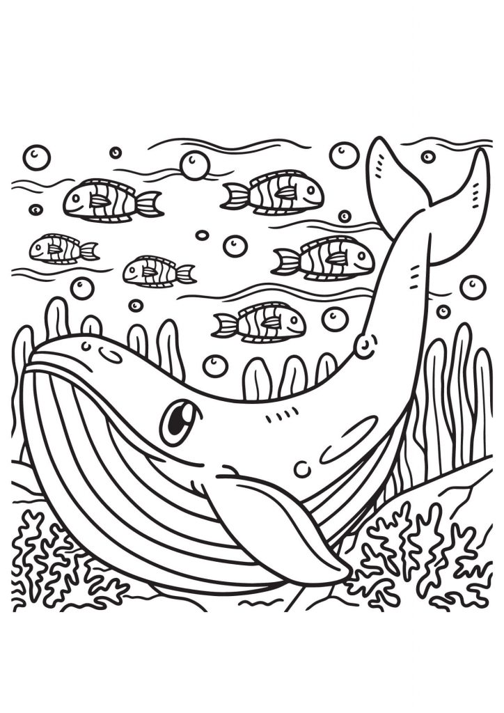 Sea creatures Color Sheets (Free + Printable) | Kokoprint.com