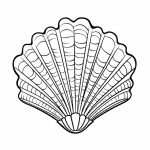 Sea shells Color Sheets (Free + Printable)