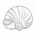 Sea shells Color Sheets (Free + Printable)