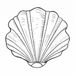 Sea shells Color Sheets (Free + Printable)