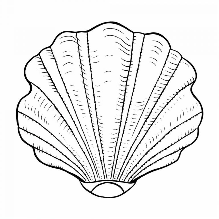 Sea shells Color Sheets (Free + Printable)