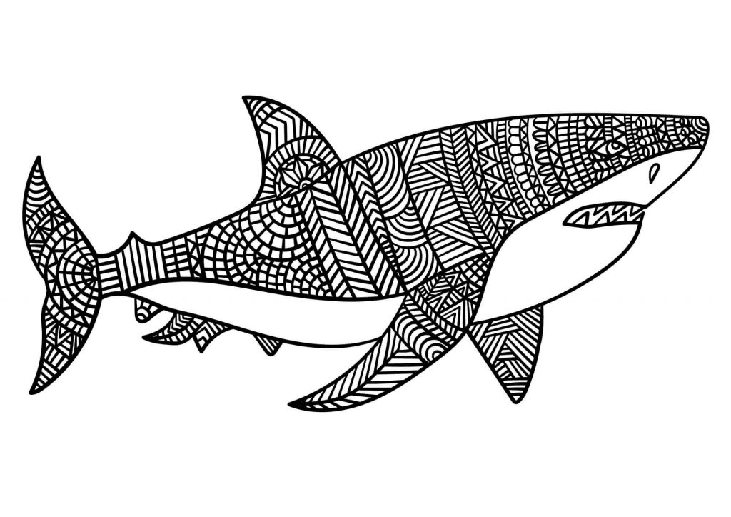 Shark Color Sheets (Free + Printable)