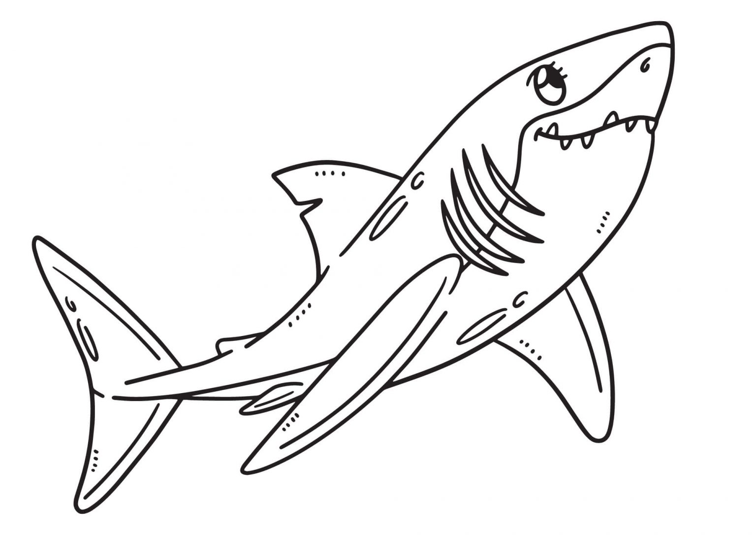 Shark Color Sheets (Free + Printable)