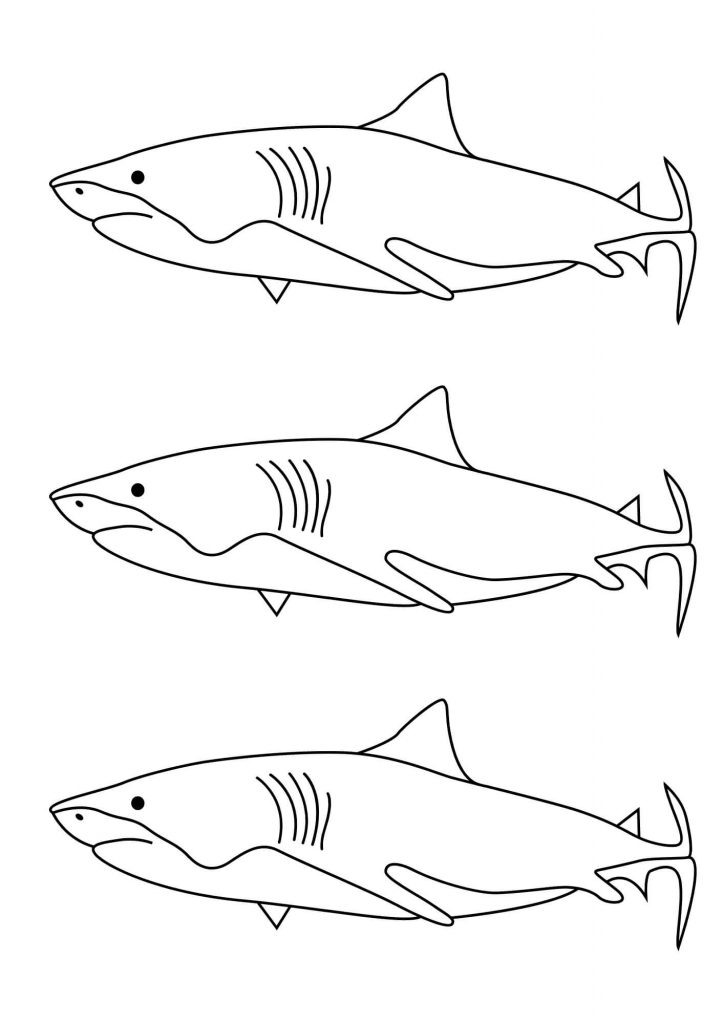 Shark Color Sheets (Free + Printable)