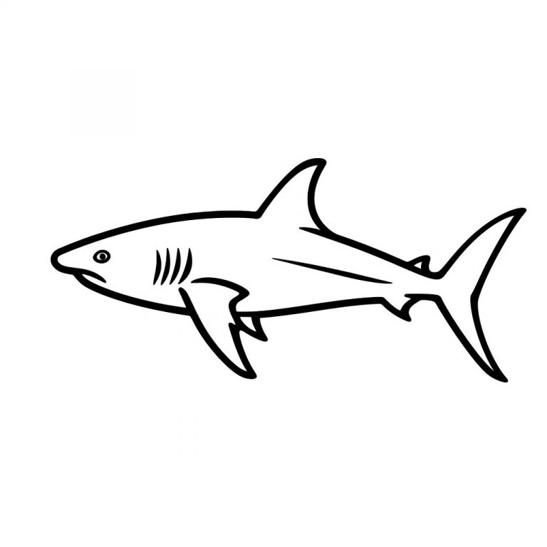 Tiburón Dibujos Para Imprimir Y Colorear Gratis Kokoprint