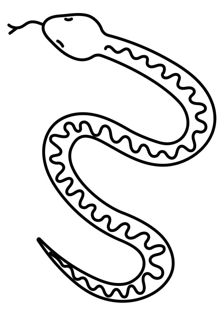 Snakes Color Sheets (Free + Printable)