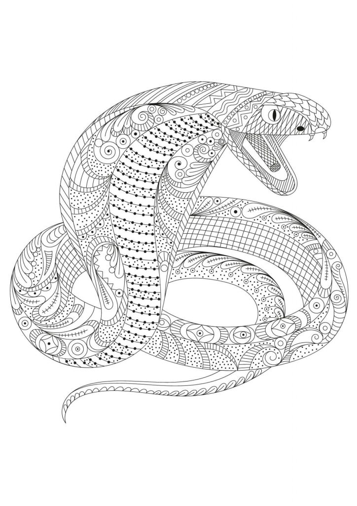 Snakes Color Sheets (Free + Printable)