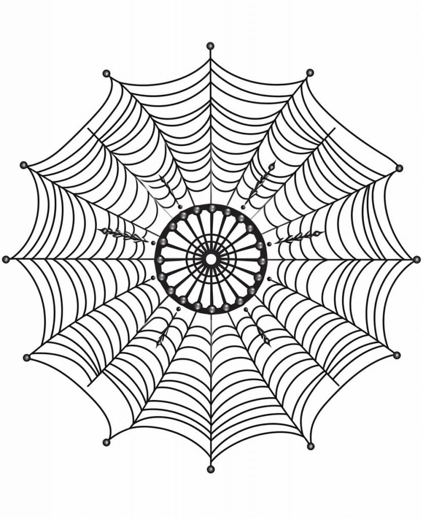 Spider Color Sheets (Free + Printable) | Kokoprint.com