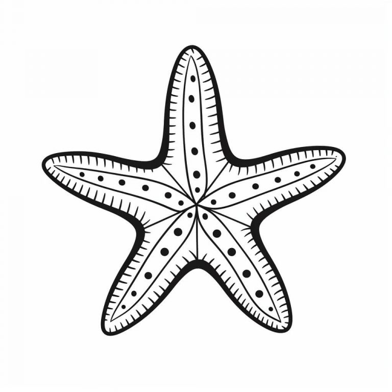 Starfish Color Sheets (Free + Printable) | Kokoprint.com