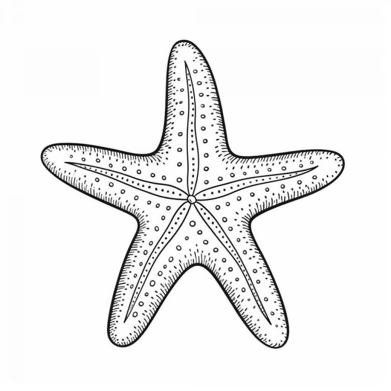 Starfish Color Sheets (Free + Printable) | Kokoprint.com