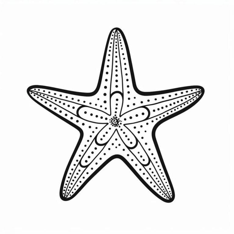Starfish Color Sheets (Free + Printable) | Kokoprint.com