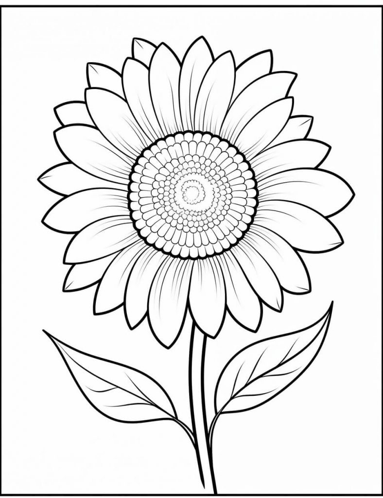Sunflower Colouring Sheets (Free & Printable) | Kokoprint.com