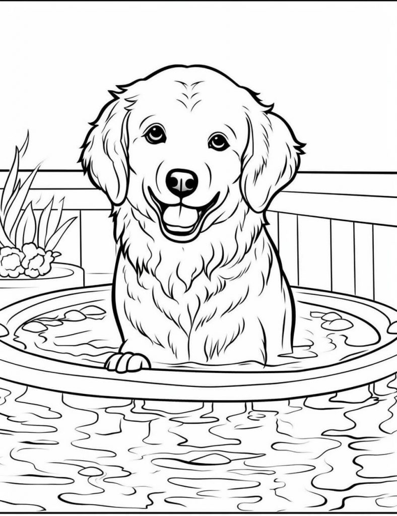 Swimming Color Sheet (Free & Printable)