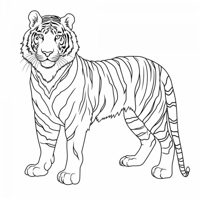 Tiger Color Sheets (Free + Printable)