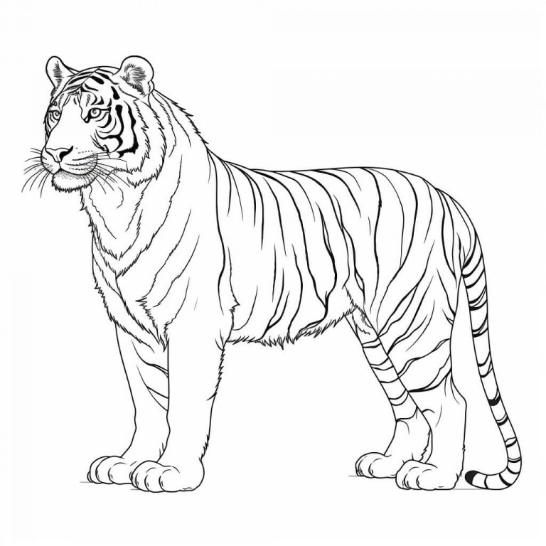 Tiger Color Sheets (Free + Printable)