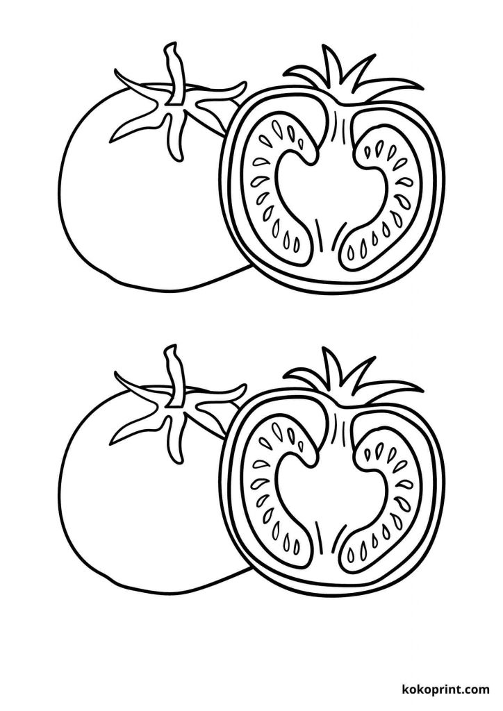 Tomato coloring sheets (free & printable) | Kokoprint.com