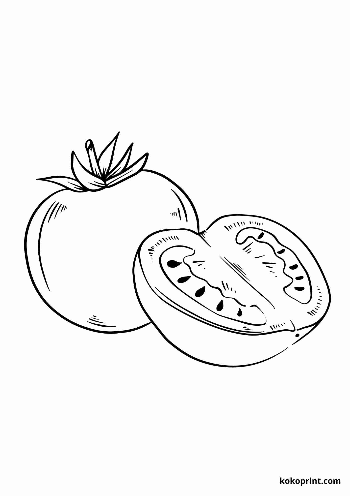 Tomato coloring sheets (free & printable) | Kokoprint.com
