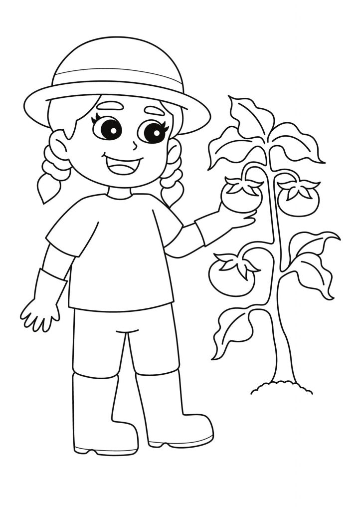 Tomato coloring sheets (free & printable) | Kokoprint.com