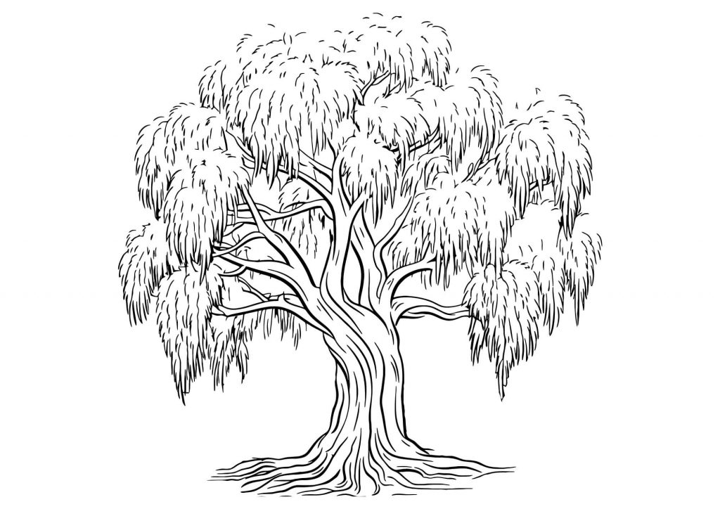 Trees Color Sheets (Free + Printable) | Kokoprint.com