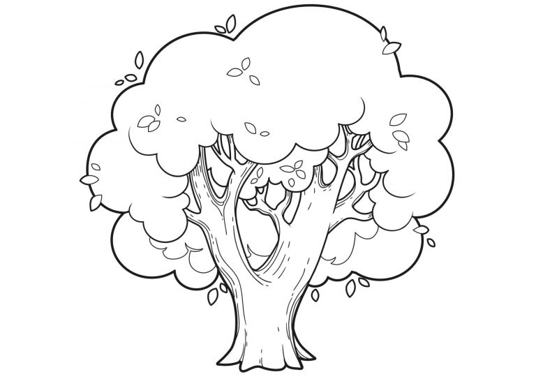 Trees Color Sheets (Free + Printable) | Kokoprint.com