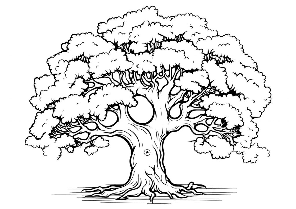 Trees Color Sheets (Free + Printable) | Kokoprint.com