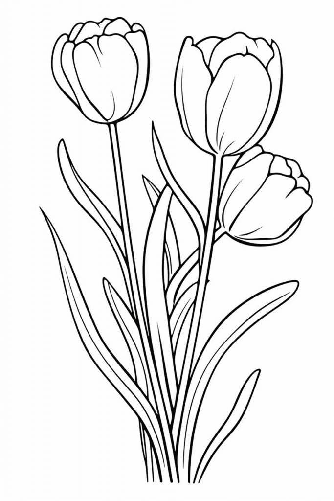 Tulip Coloring Sheets (Free & Printable)