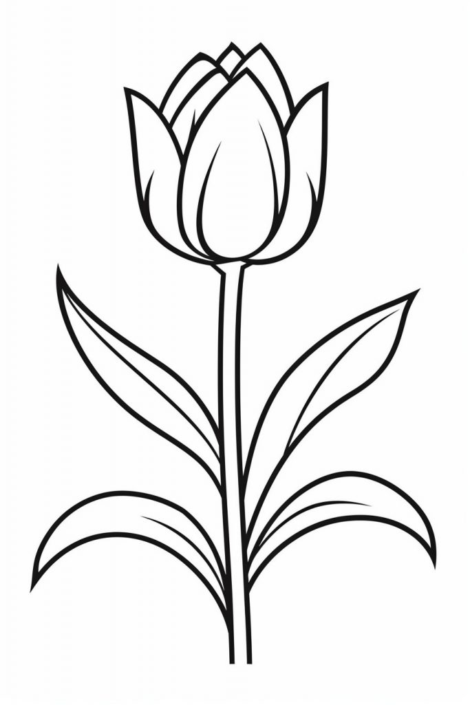 Tulip Coloring Sheets (Free & Printable)
