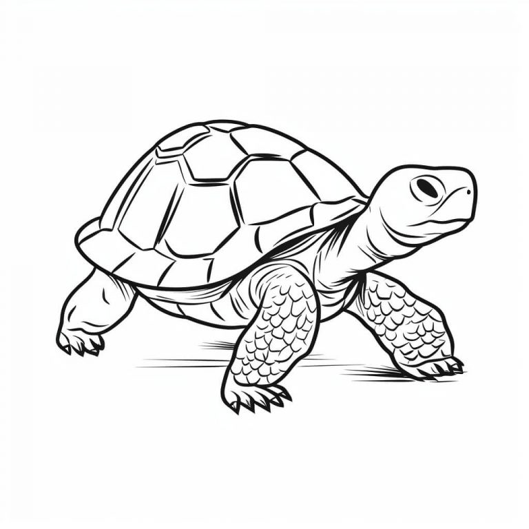 Turtle Coloring Sheets (Free + Printable)