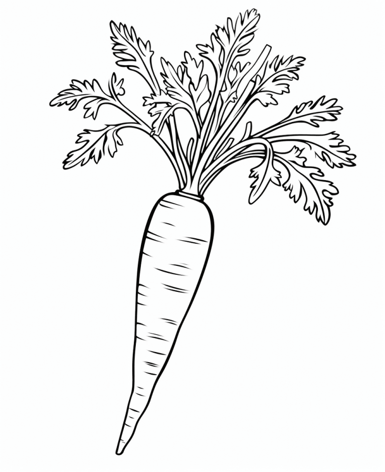 Vegetables Color Sheet (Free + Printable) | Kokoprint.com