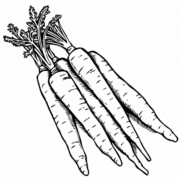 Vegetables Color Sheet (Free + Printable) | Kokoprint.com